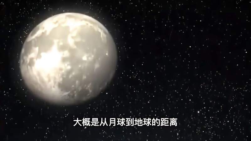 高分科普动画!1分钟了解生命如何诞生,看完才知欧气花哪了