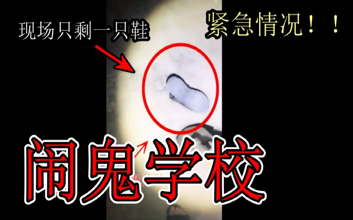 半夜探险闹鬼学校,突发遇险两人分开,回来只剩下一只鞋之户外小 龙...