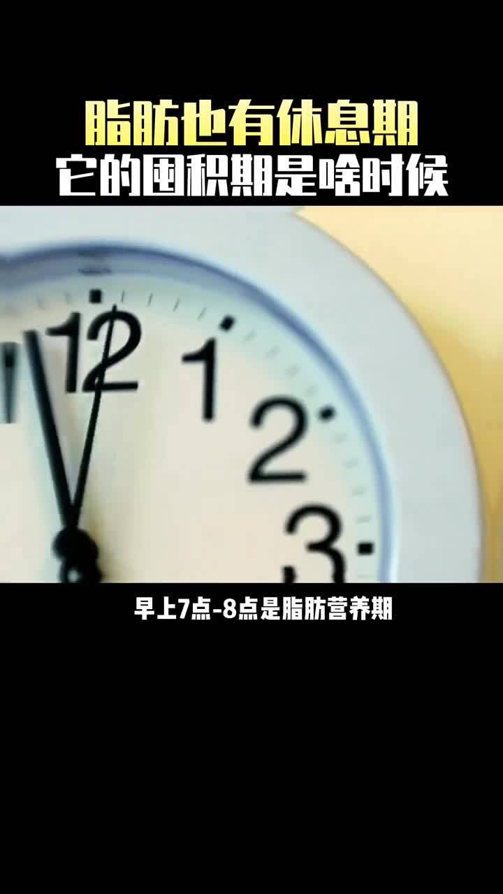 脂肪竟然也有作息时间表