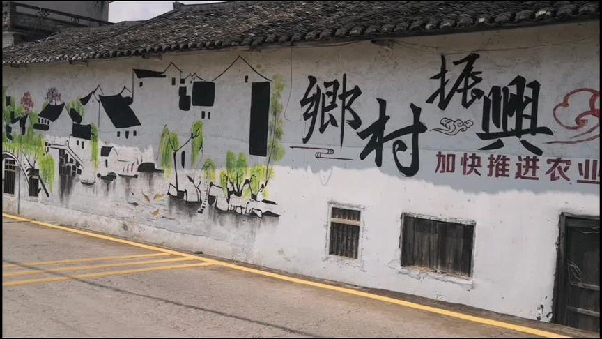 老家的一些废弃房子,政府统一画了一些宣传图话和标语