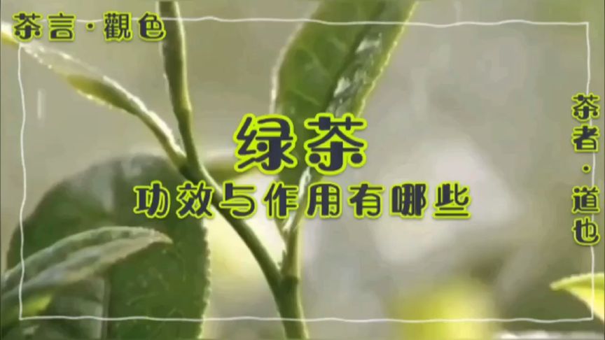 绿茶的功效与作用
