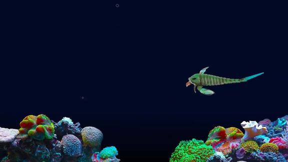 趣味益智动画片 侏罗纪巨型海洋生物