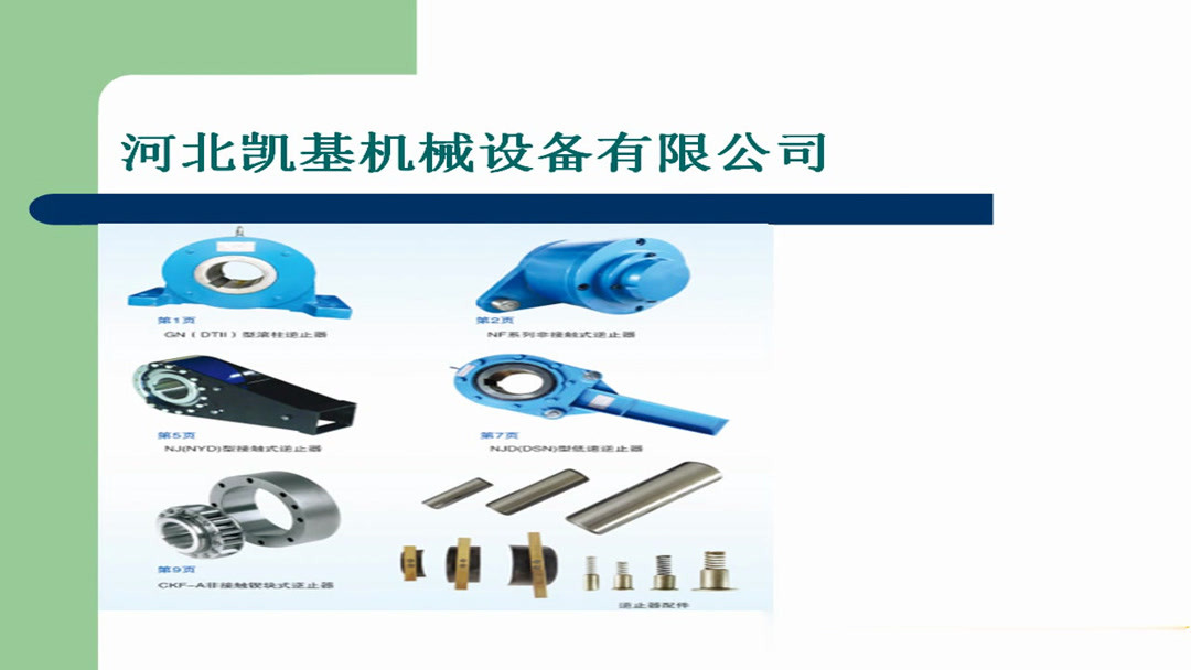武义NJ38-S-200超越离合器ZDY减速机低速轴专用厂