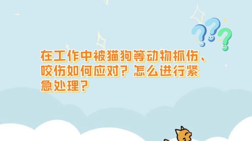 在工作中被猫狗等动物抓伤、咬伤如何应对?怎么进行紧急处理