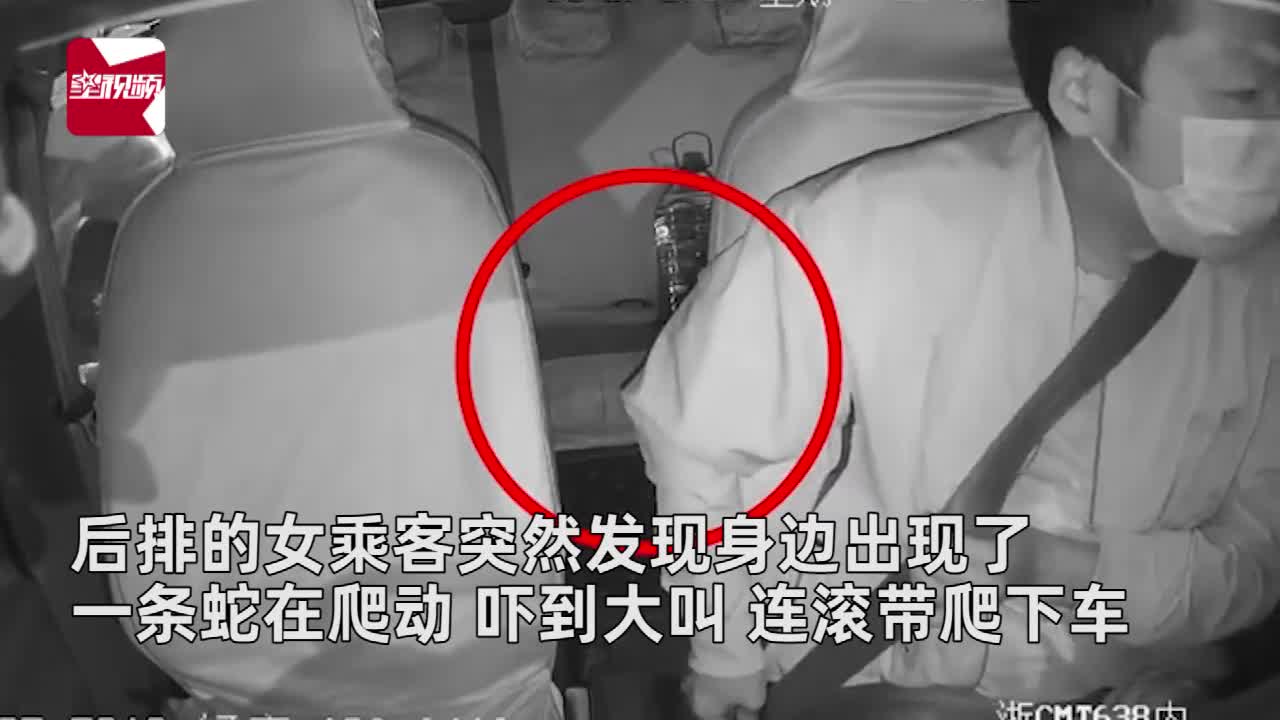 出租车行驶时,女乘客竟连滚带爬尖叫跳车,的哥一看后座也吓坏了