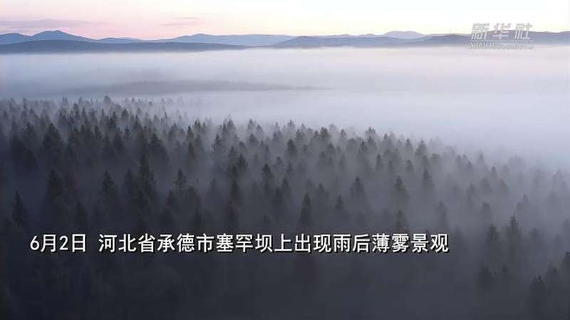 河北承德:塞罕坝雨后薄雾美如画