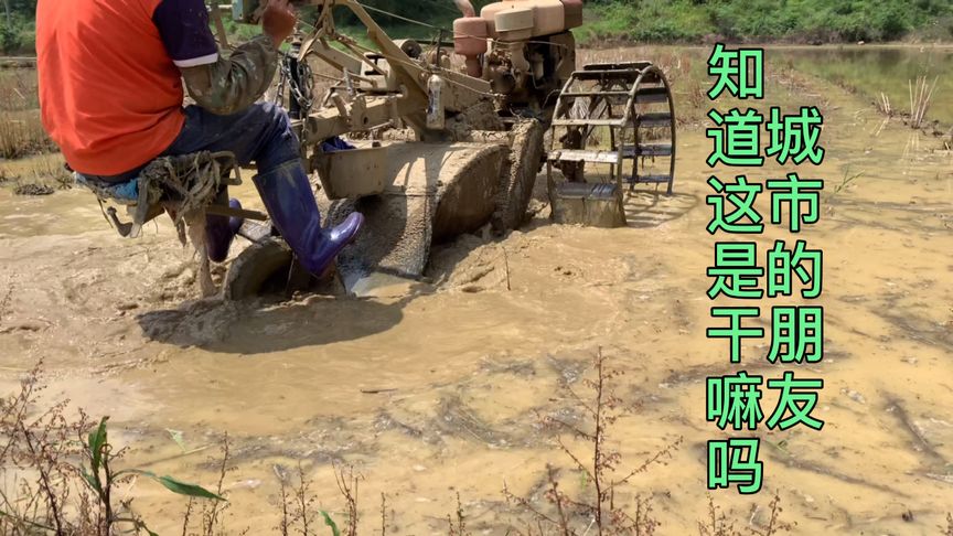 不知如何表达此视频的内容,只希望每位朋友都能珍惜每份劳动成果