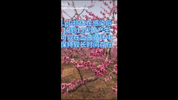 武汉有多少无症状?哪些抗体阳性需要早治疗?哪些抗体阳性是自愈