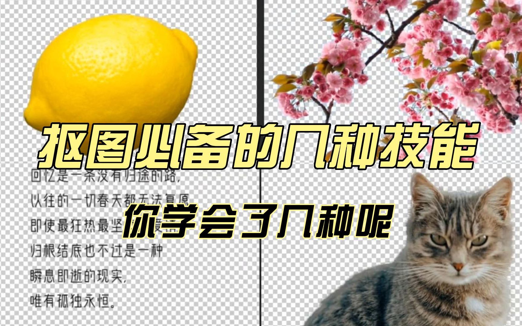 【PS教程】 抠图必备的几种技能-超级实用 ps抠图/一键抠图/PS必备...