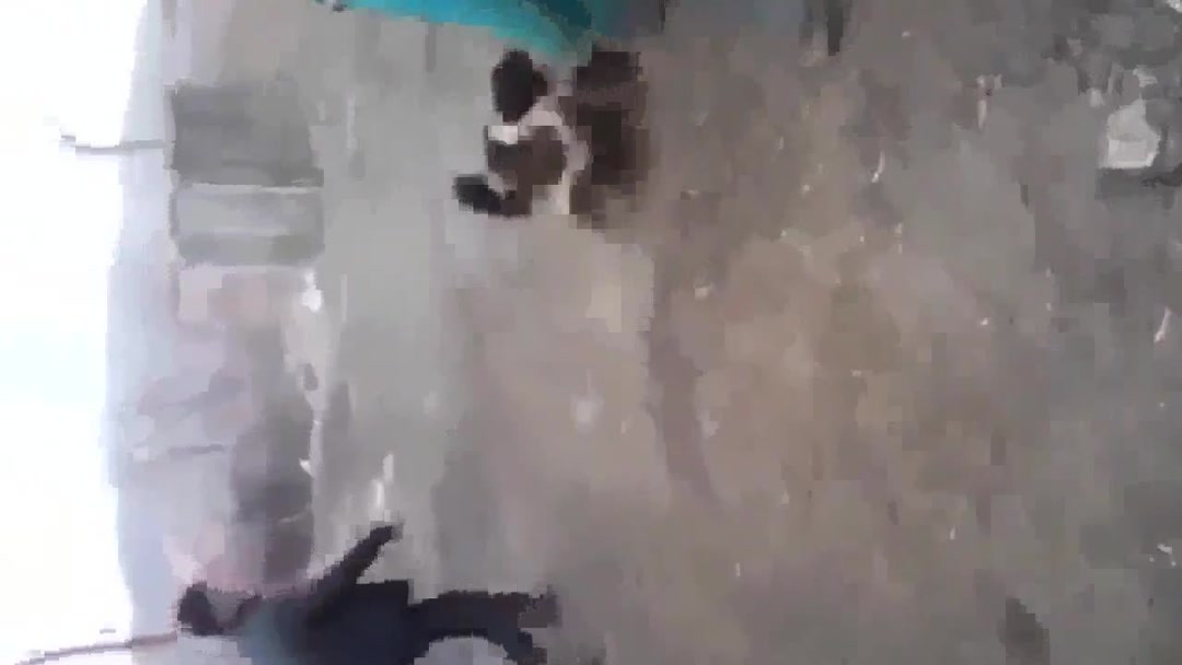 高加索犬vs纯种藏獒 藏獒王视频 打架视频_1