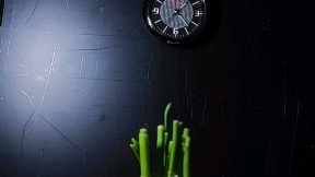 大蒜第二次被成长记录