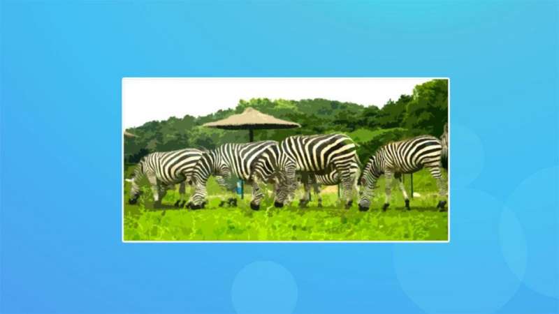 原来森林动物长这样