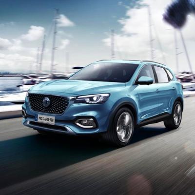 ...新车外观延续了燃油版设计,内饰变化在于电子挡把及运动座椅,动力为...