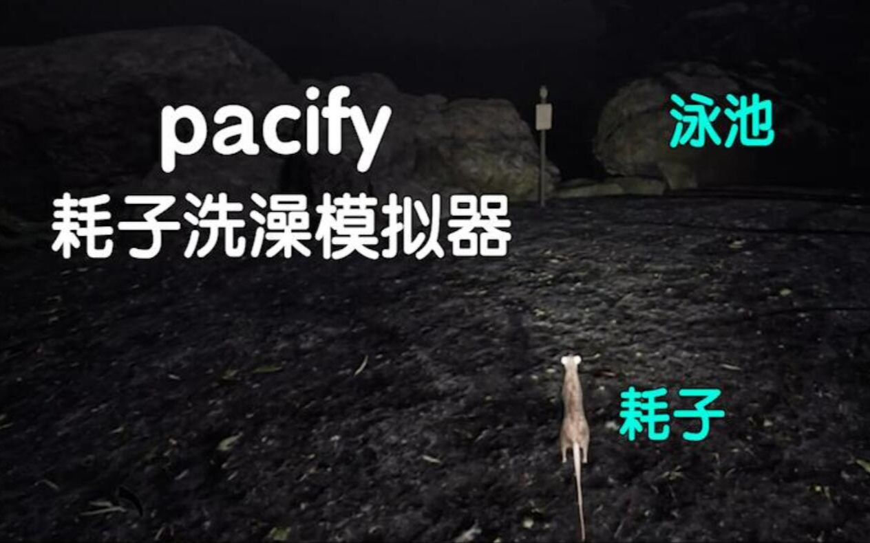 【PACIFY】耗子洗澡模拟器