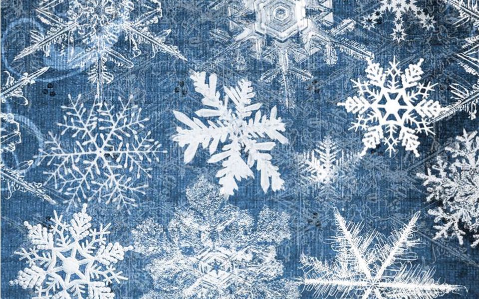 【雪】雪花笔刷、冰晶、雪花图形PS笔刷
