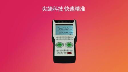 虹润过程校验仪生产企业