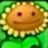 fuckedsunflower 