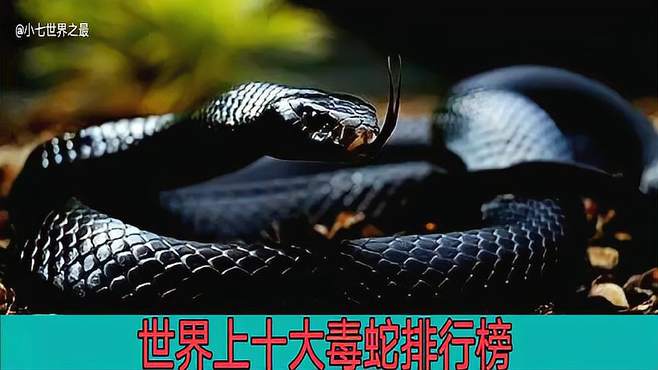 世界上最毒的十大毒蛇,第一名生活在海里,一般人见不到