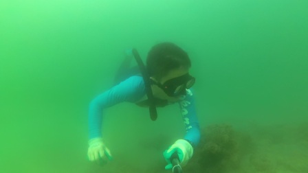 just a test video for freedive