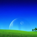 一往情深的追求 