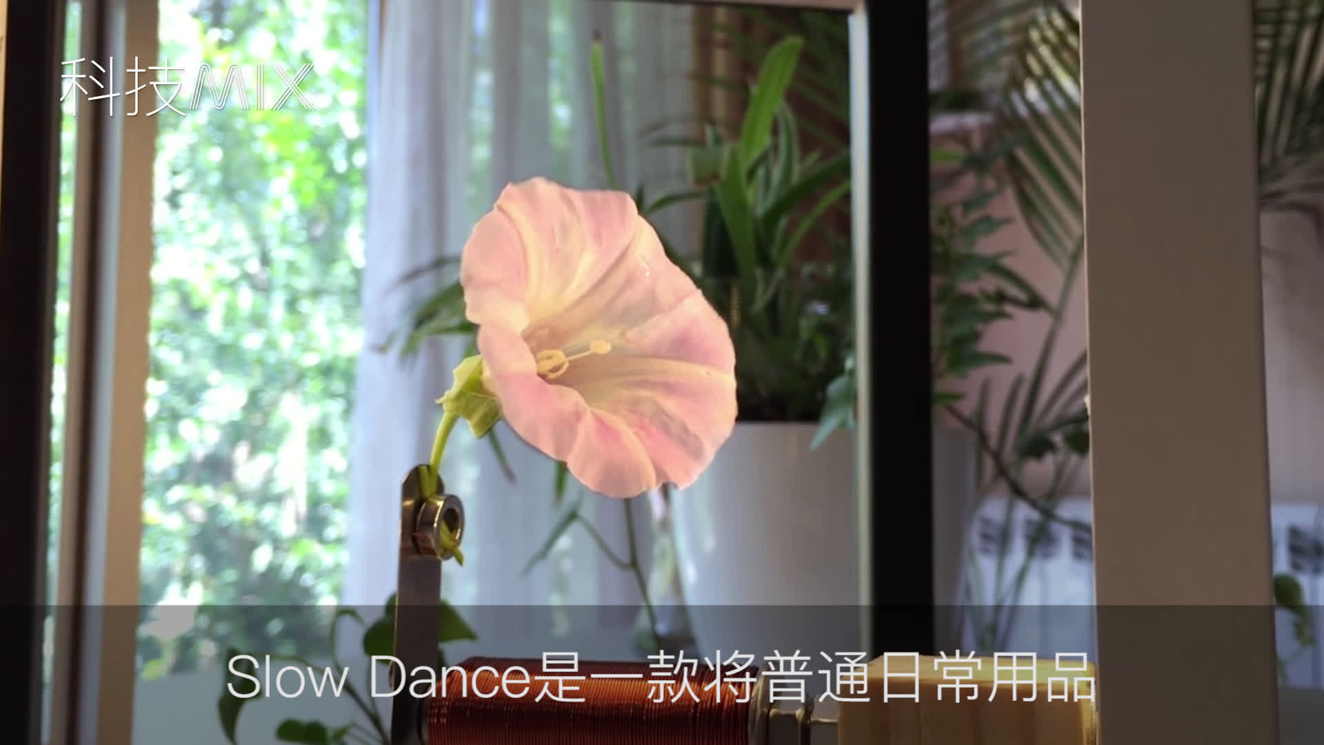 【科技MIX】把静物放进这个神奇相框 居然可以做出精美绝伦的慢动作