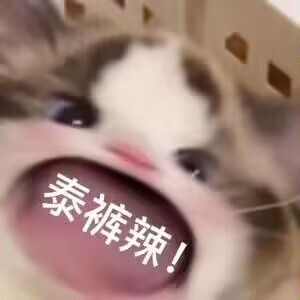 秋天哇哇 