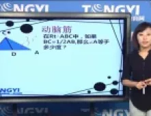 3.5直角三角形的性质和判定(2)