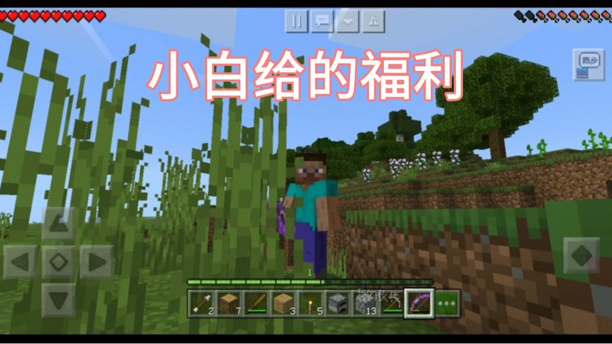 我的世界下界更新第一期