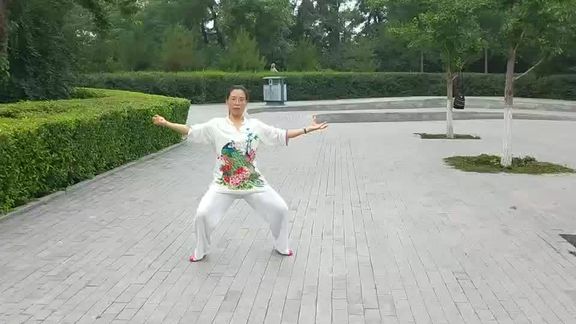 唐山凤凰山北门口,晨练。二孩妈郭秋英,非常喜欢模仿董老师的拳架...