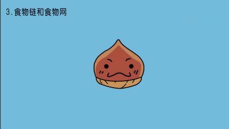 「参赛作品」生态系统的结构