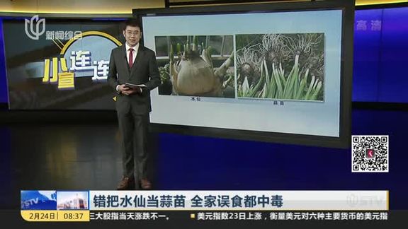 错把水仙当蒜苗 全家误食都中毒