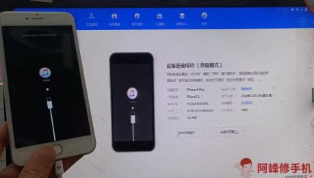 苹果手机忘记密码,提示iphone已停用怎么办?教你快速解锁