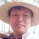 渝农长江 