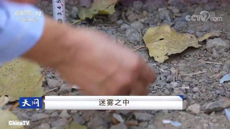 老人被撞生死未卜,监控的白点提供重要线索,肇事者竟是无证驾驶