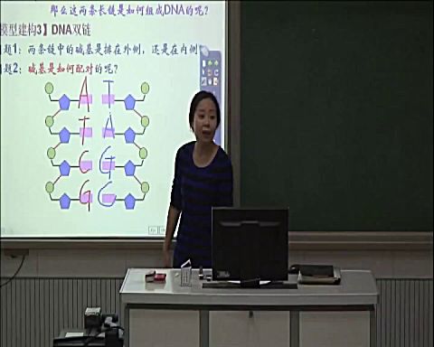 ...高中生物必修2 遗传与进化《第2节 DNA分子的结构》获奖课教学视频