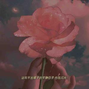 小蝴蝶自来 
