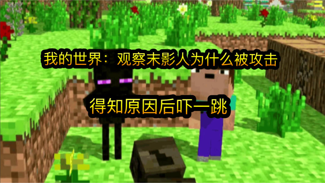 我的世界:观察末影人为什么被攻击,得知原因后吓一跳