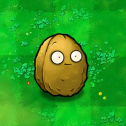 努力变香的五香蛋 