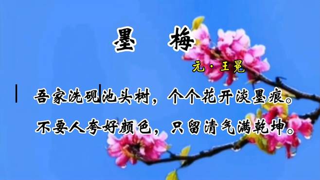 墨梅·王冕,我家洗砚池头树,朵朵花开淡墨痕丨小学诗词4-19