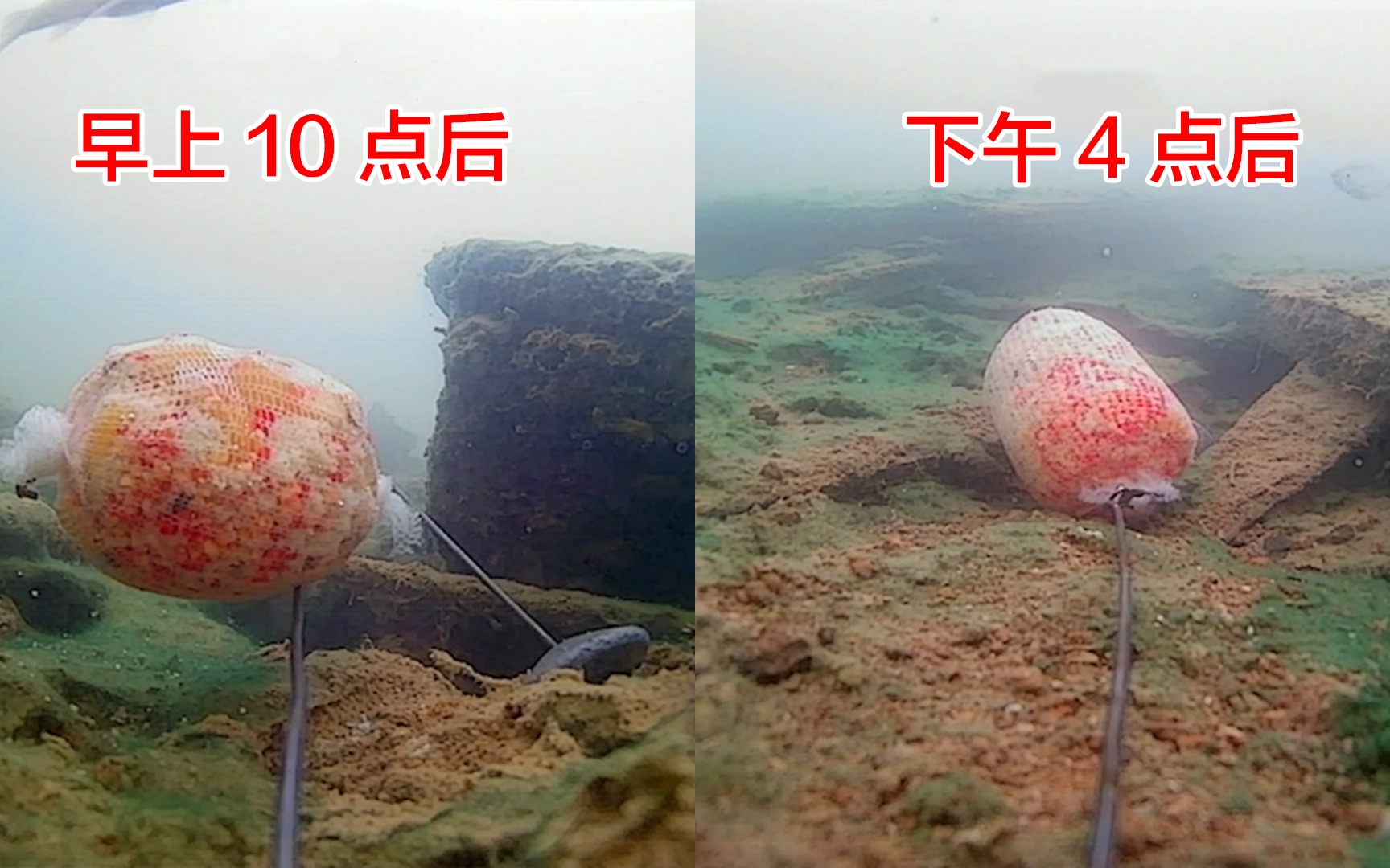 冬季早上和下午,哪个时间段段鱼比较好钓?