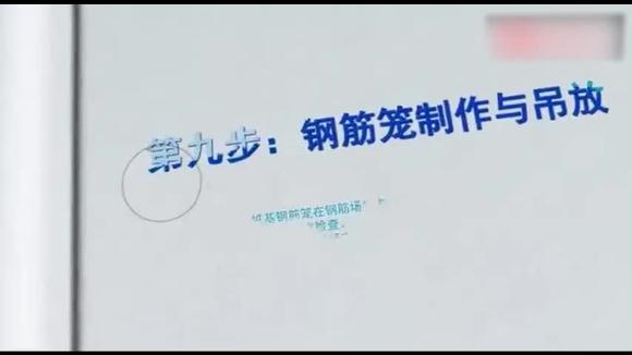 灌注桩BIM 施工模拟钢筋笼制作吊放