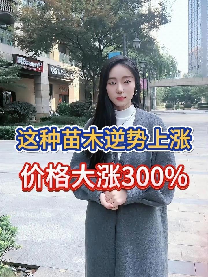 这种苗木逆势上涨,价格大涨300%。#苗木通 #苗木通app #园林绿化 #...