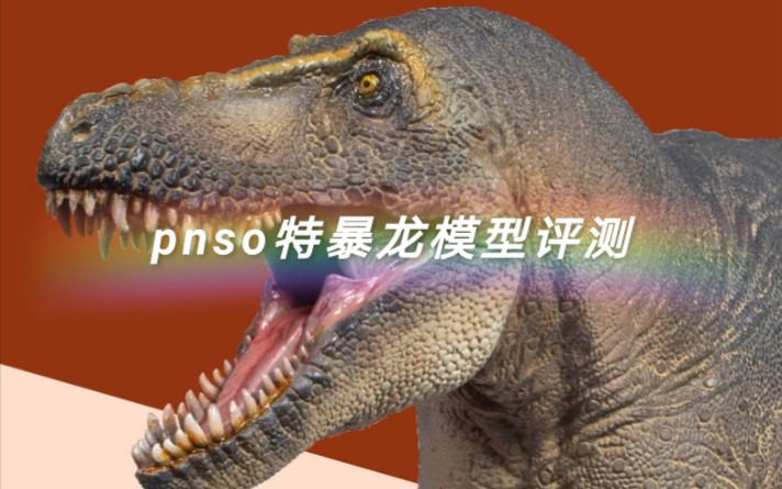 (恐龙模型)恐龙大王pnso特暴龙川子模型评测,无任何科普知识,只是...