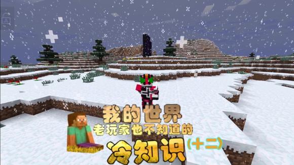 我的世界老玩家也不知道的冷知识(十二期)