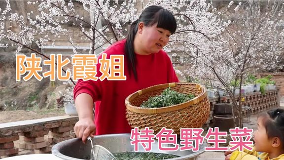 陕北霞姐,开春了给大家带来了美味野生菜,你们那有没有