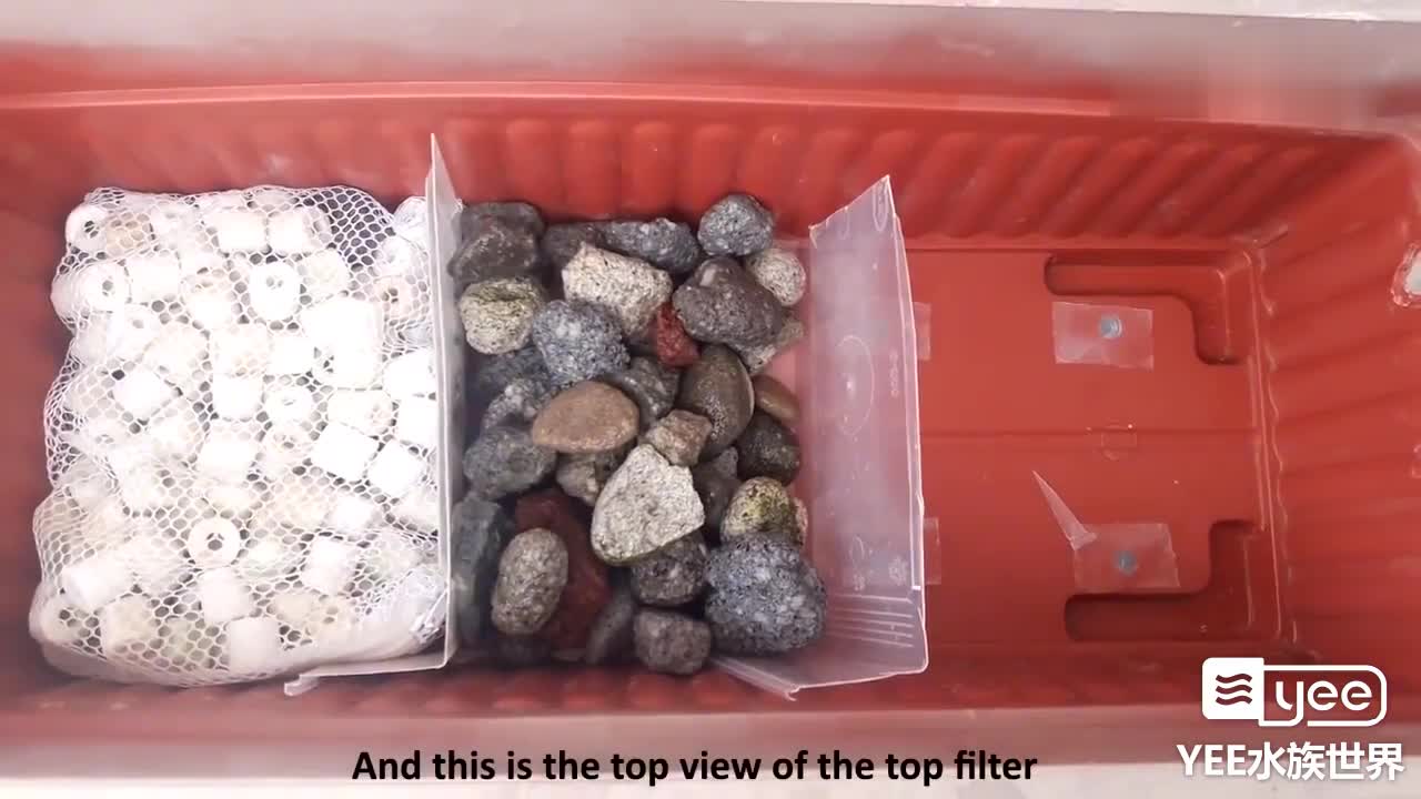 自制简易过滤器,小鱼缸专用,上方种上绿植,这算是沼泽过滤吗
