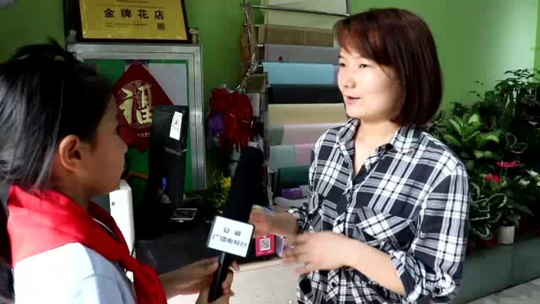 合肥一六八玫瑰园学校二(3)班孩子们的街头采访《手机的利与弊》