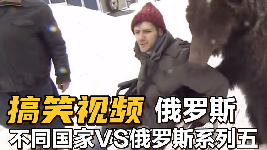 搞笑盘点不同国家vs俄罗斯,出行都有熊陪伴你羡慕了吗?