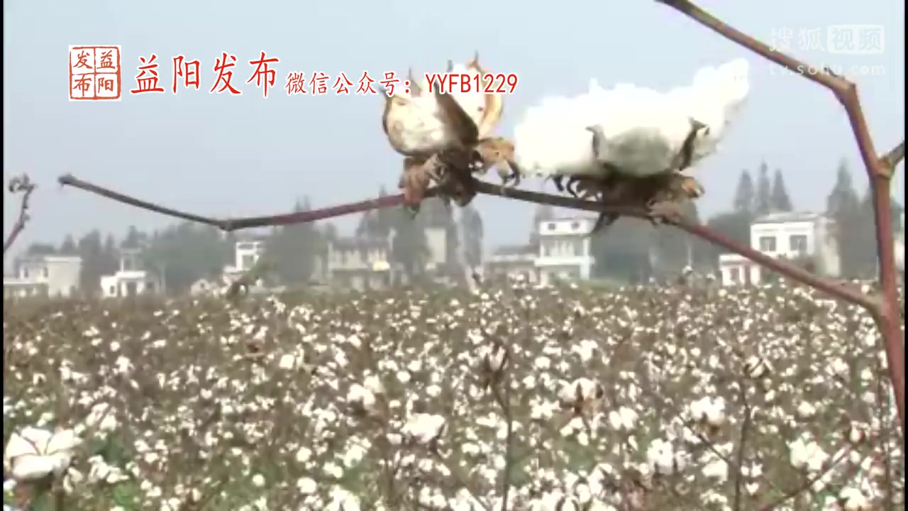 南县宣传片