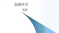 金融审计01